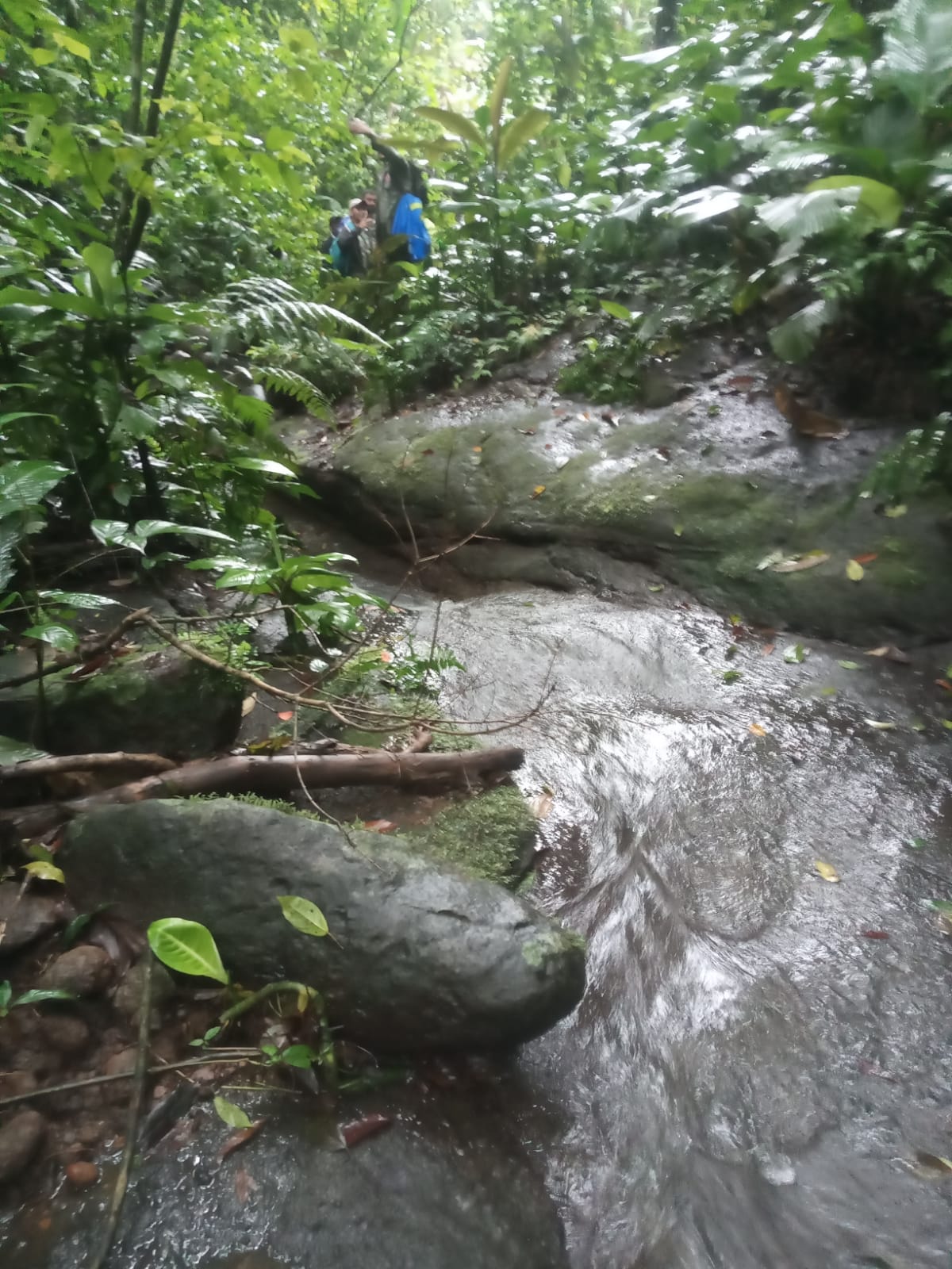 SENDERISMO AMBIENTAL ES REALIZADO EN EL CERRO EL ESCOBÍN – Marena
