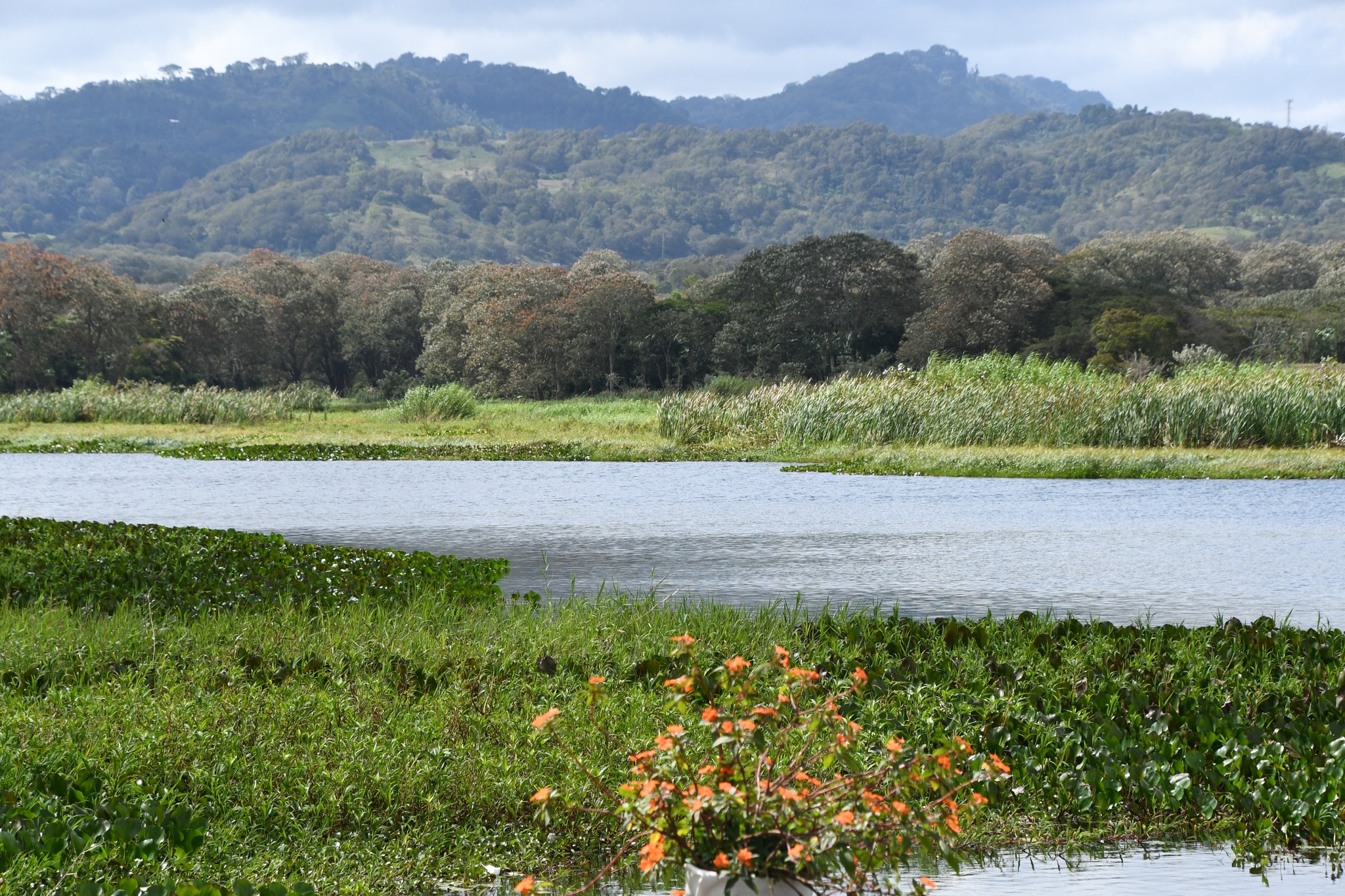 Realizamos mañana ambiental para fomentar el amor y cuido del Lago de ...