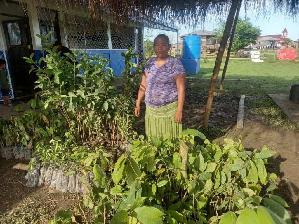Protagonistas de Limbaika recibieron plantas para la restauración de ...
