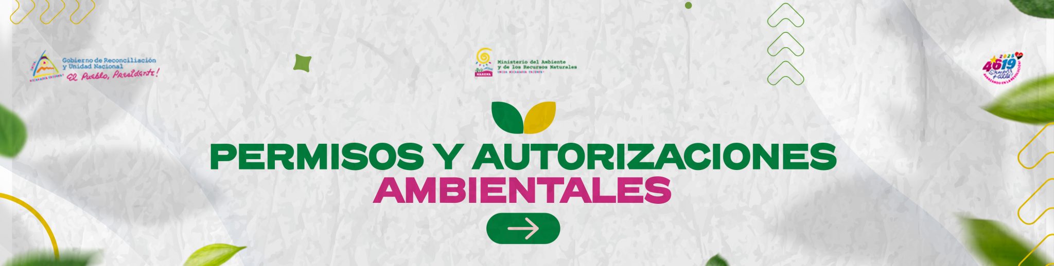 Requisitos – Marena