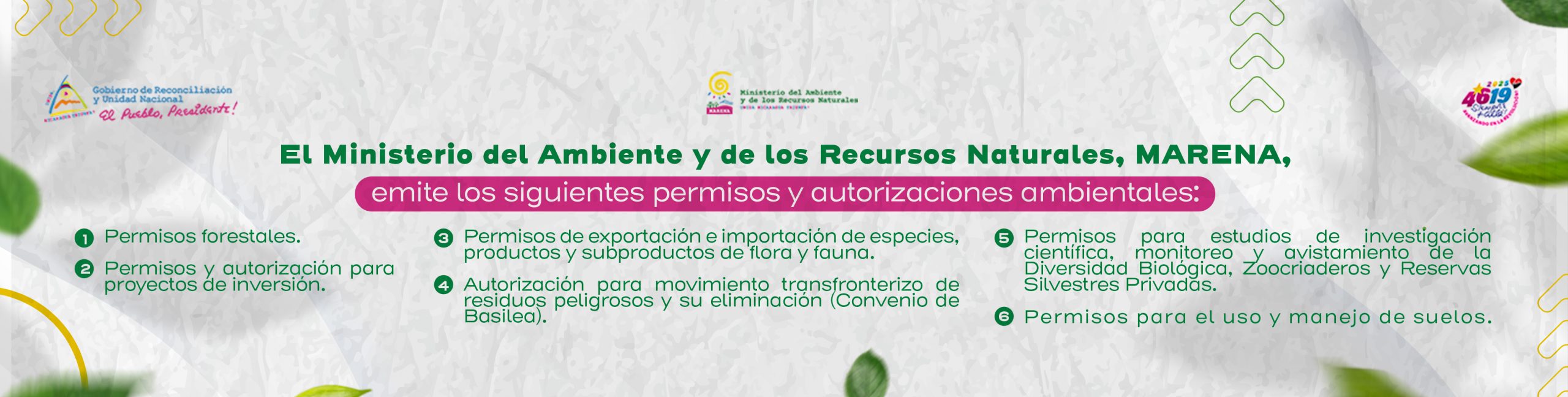 Requisitos – Marena