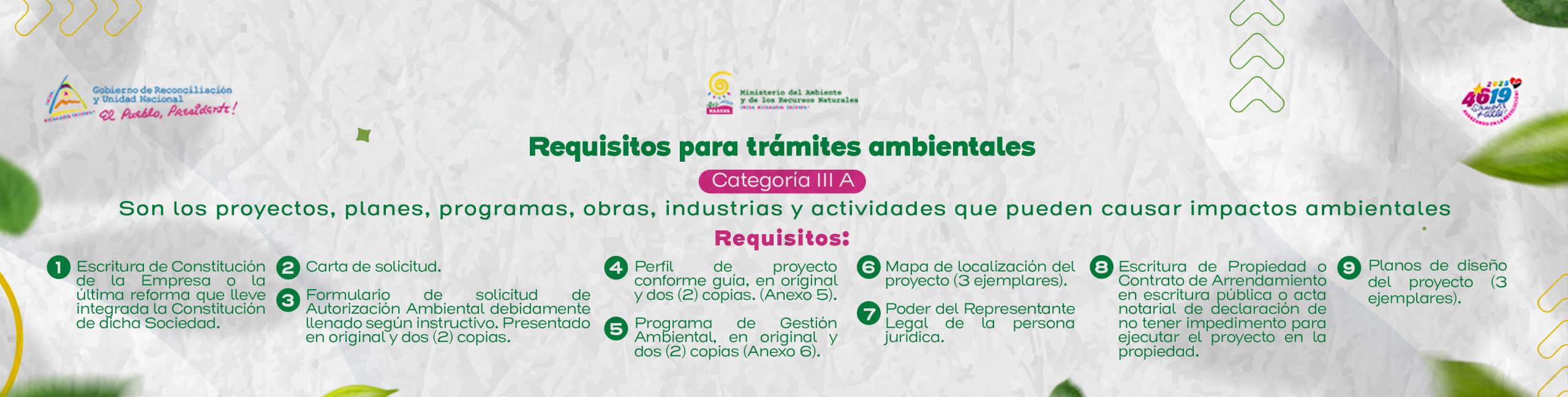 Requisitos – Marena