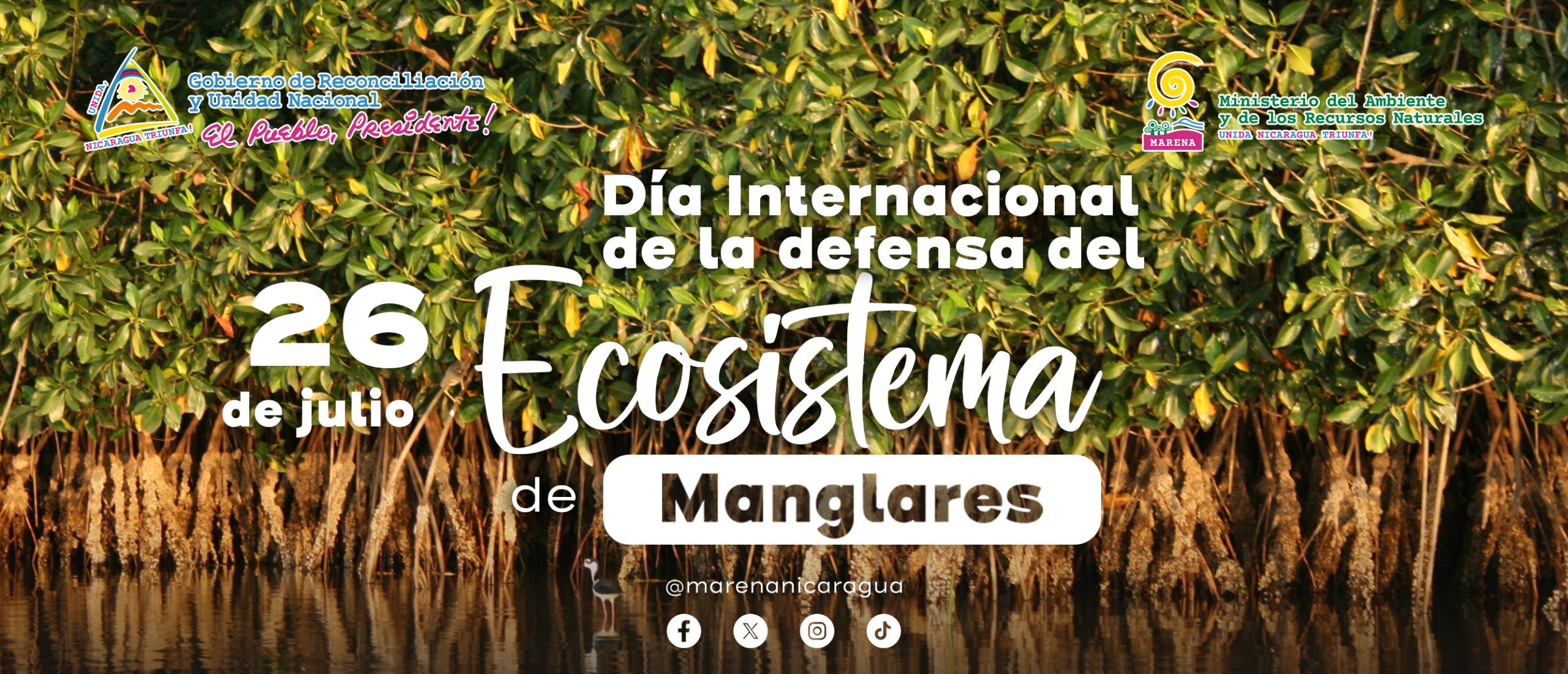 Requisitos – Marena